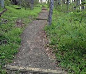 Art Photography The Path Less Traveled on Luulla