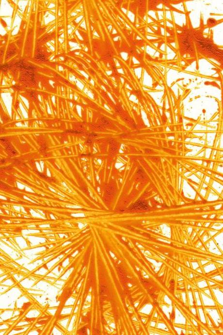 Orange Is Such A Happy Color! on Luulla