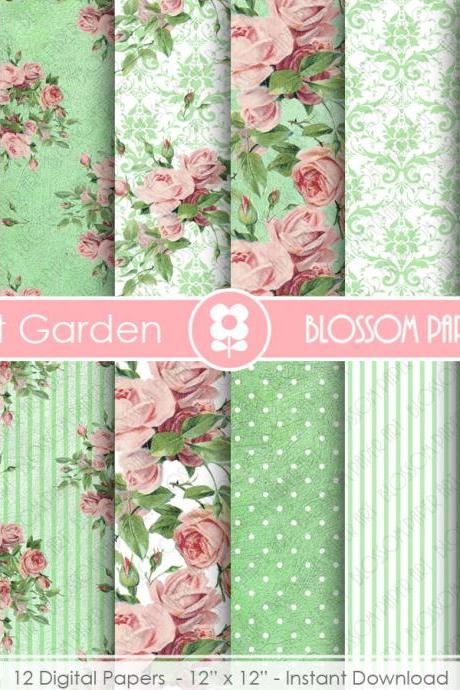 Digital Paper and Clipart | Luulla